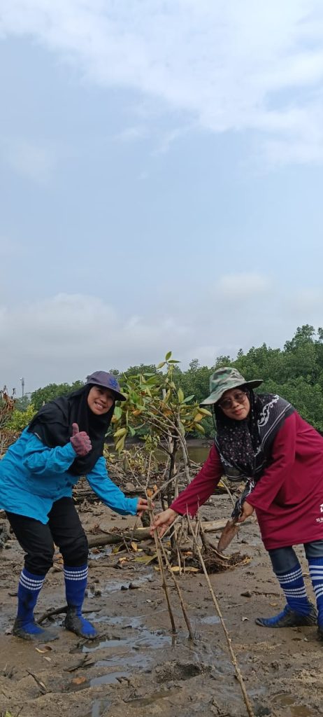 UiTM Sertai Usaha Pemulihan Mangrove Pasca Ribut Tropika Senyar di ...
